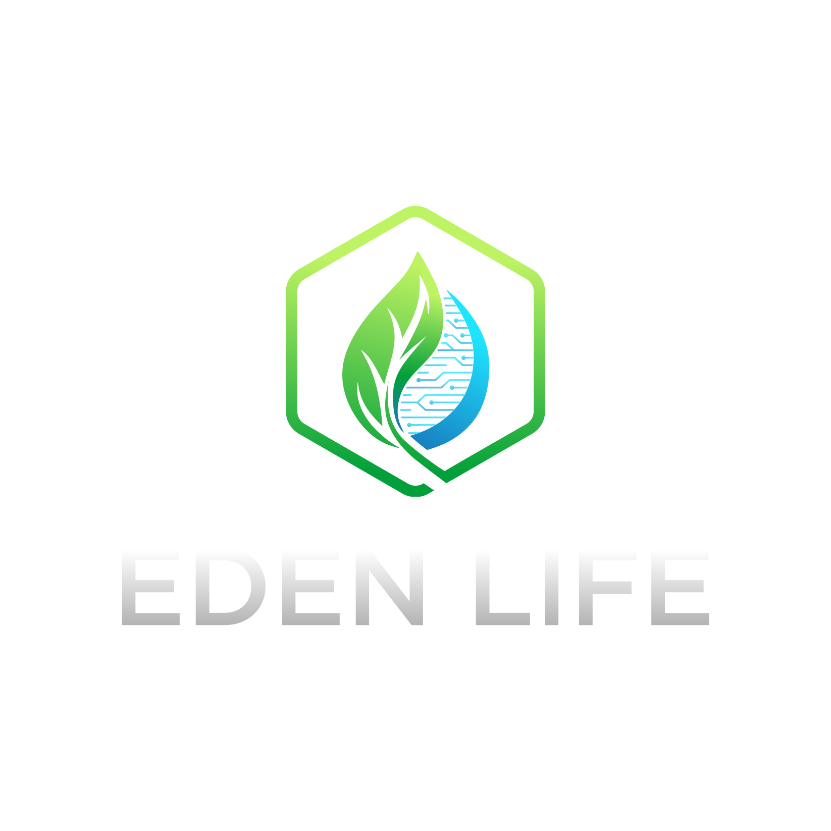 Royal Rife 101: Who He Was, What He Built, and Why It Still Matters ...